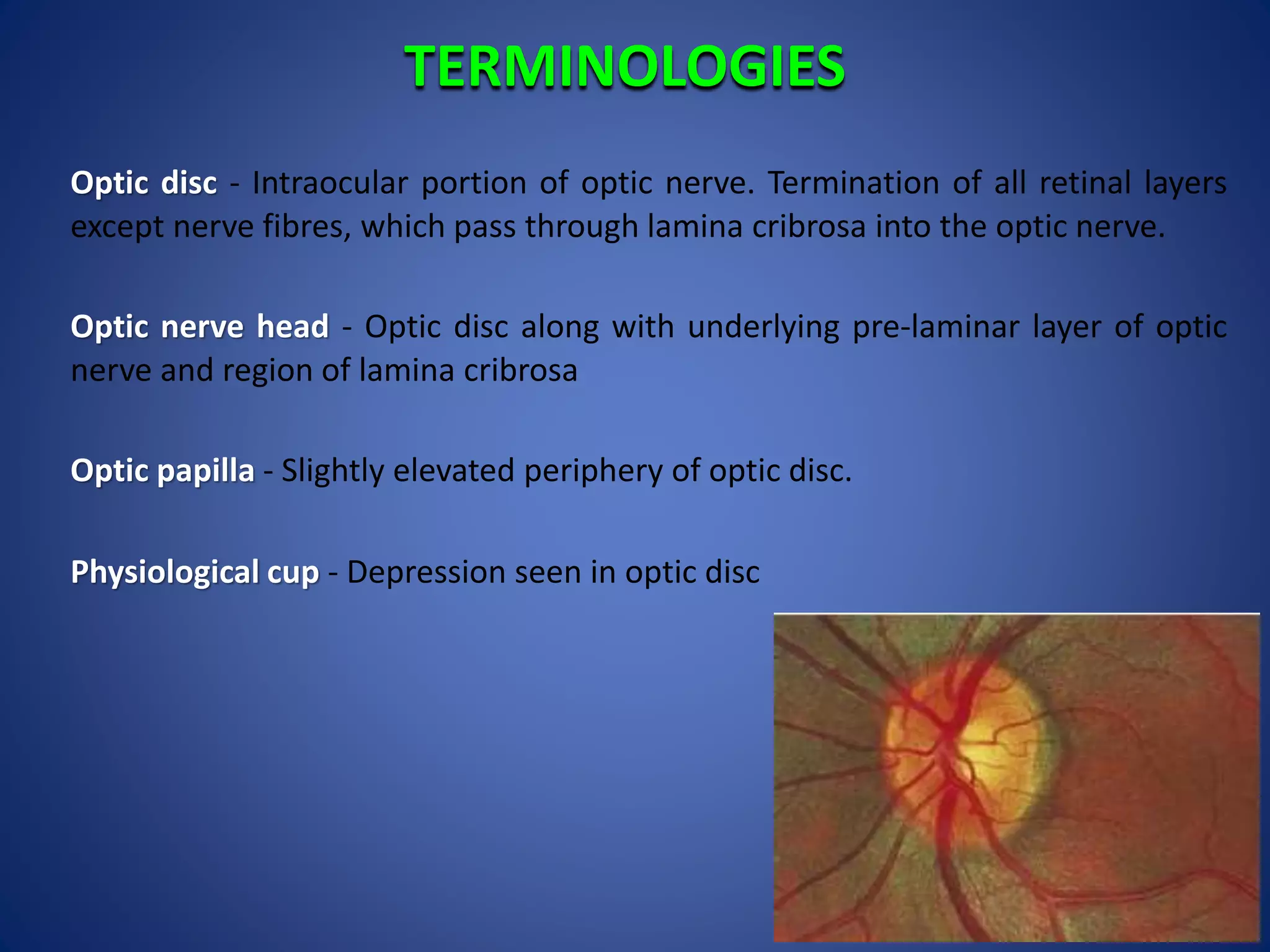Optic disc evaluation | PPTX