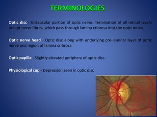 Optic disc evaluation | PPTX