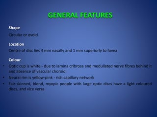 Optic disc evaluation | PPTX