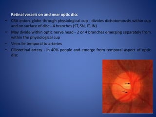 Optic disc evaluation | PPTX