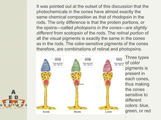 The Eye - Physiology of vision in human | PPT