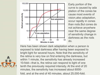 The Eye - Physiology of vision in human | PPT