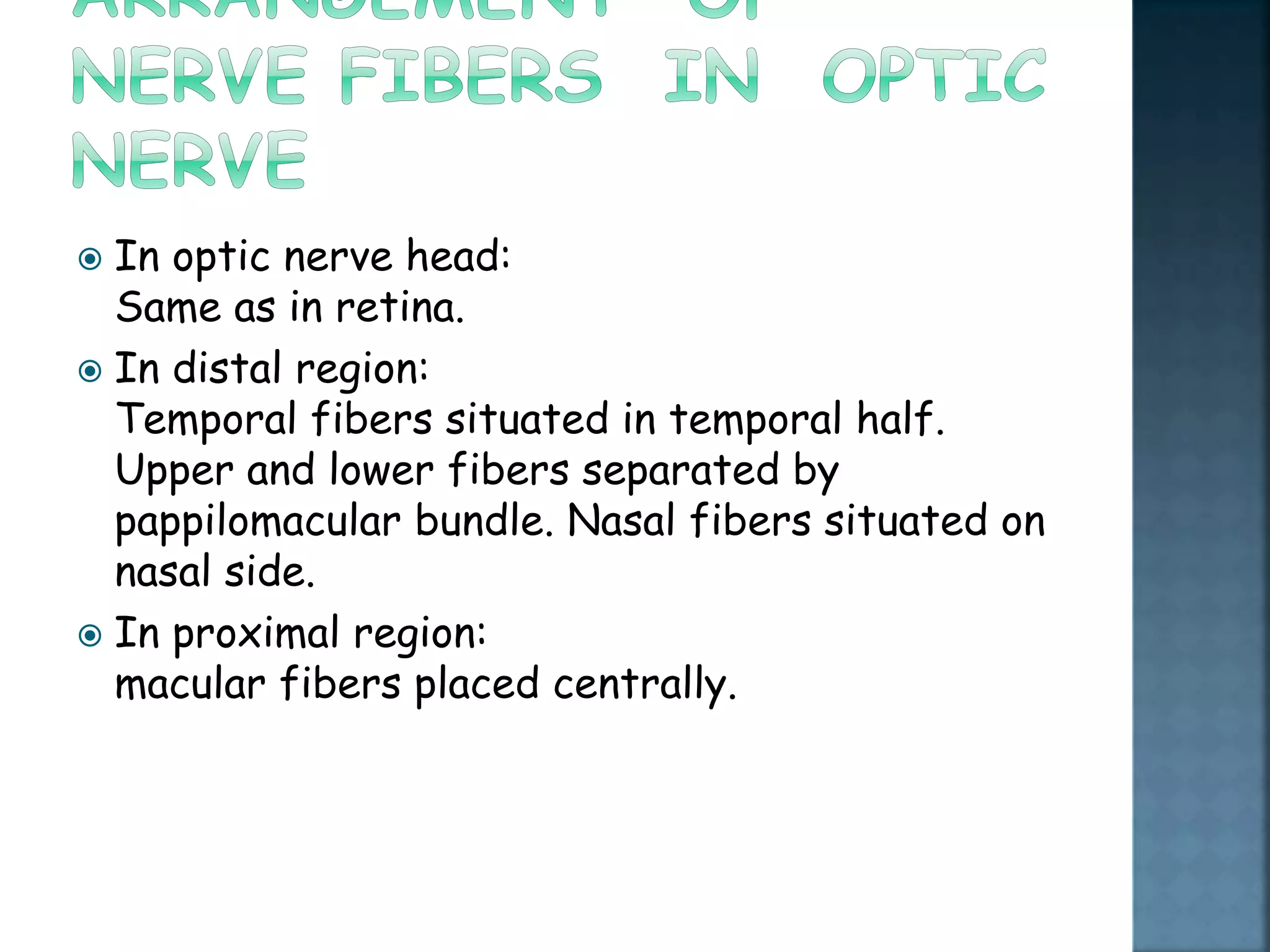 Optic nerve | PPTX