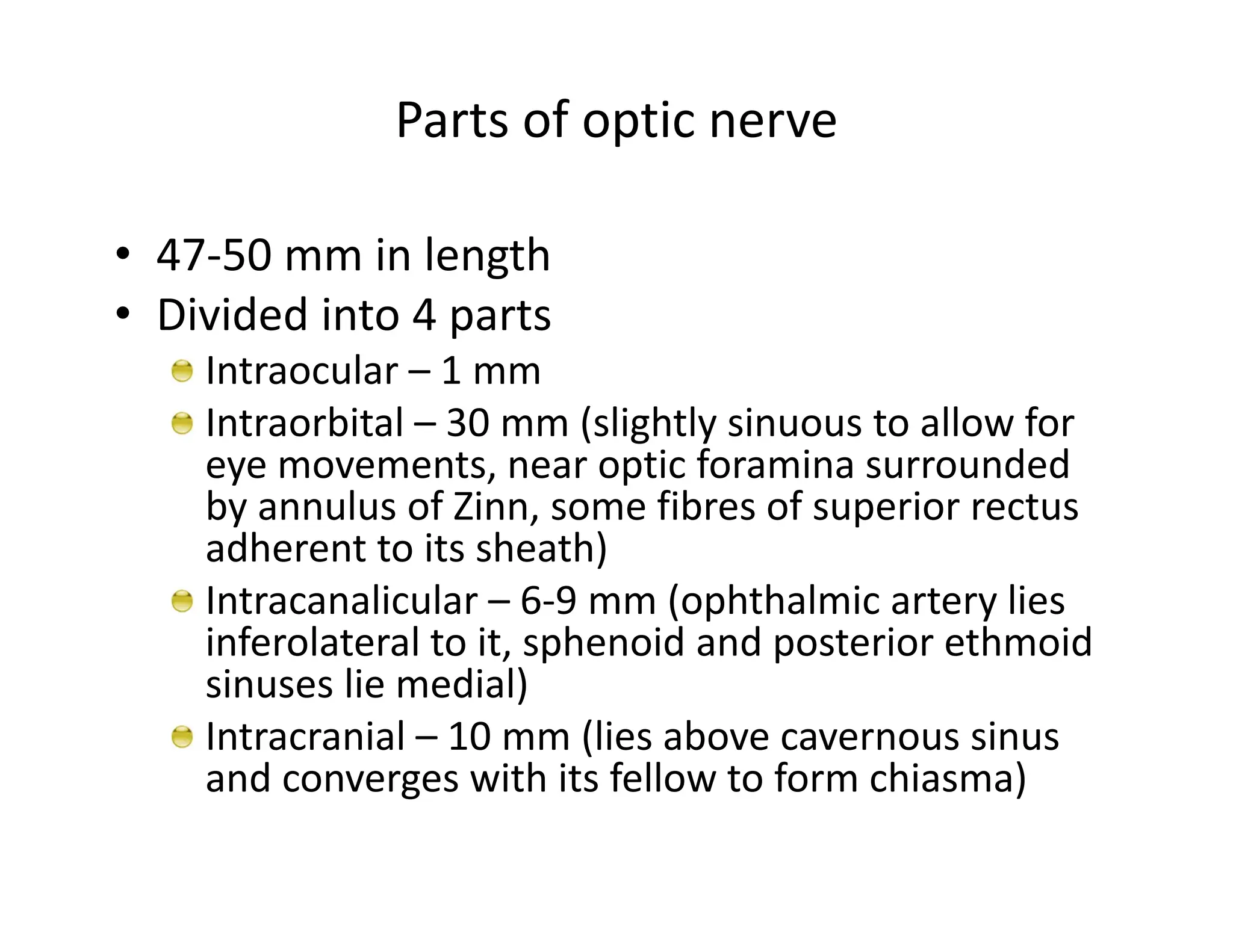 Optic nerve.pdf cranial nerve medical seminar | PDF