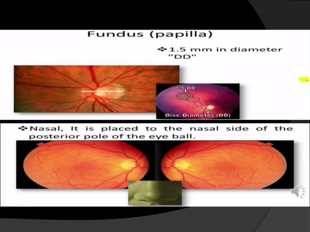Optic nerve anatomy Clinical Round | PPTX