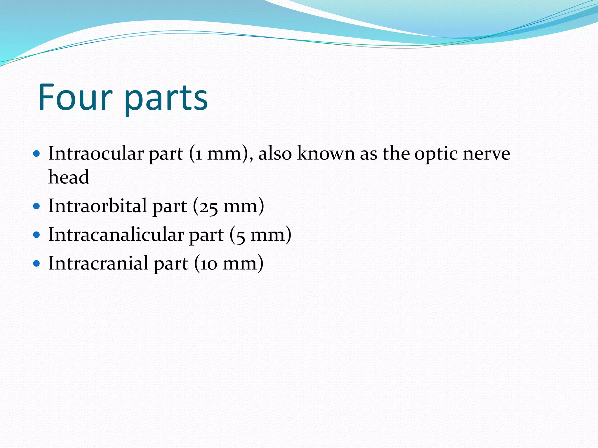 Optic Nerve Applied Anatomy, Clinical Evaluation and Approaches.pptx