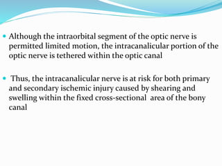 Optic Nerve Applied Anatomy, Clinical Evaluation and Approaches.pptx