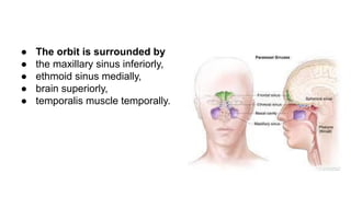 Optic nerve decompression with optic nerve.pdf