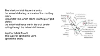 Optic nerve decompression with optic nerve.pdf