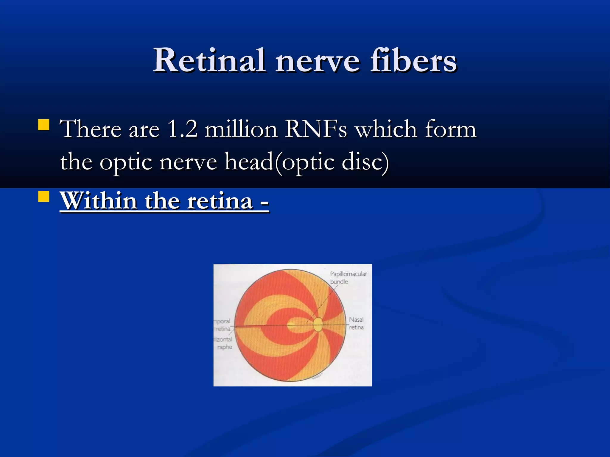Optic nerve head evaluation | PPT