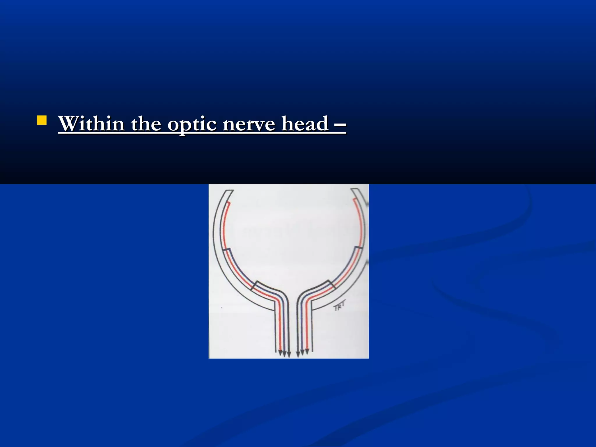 Optic nerve head evaluation | PPT