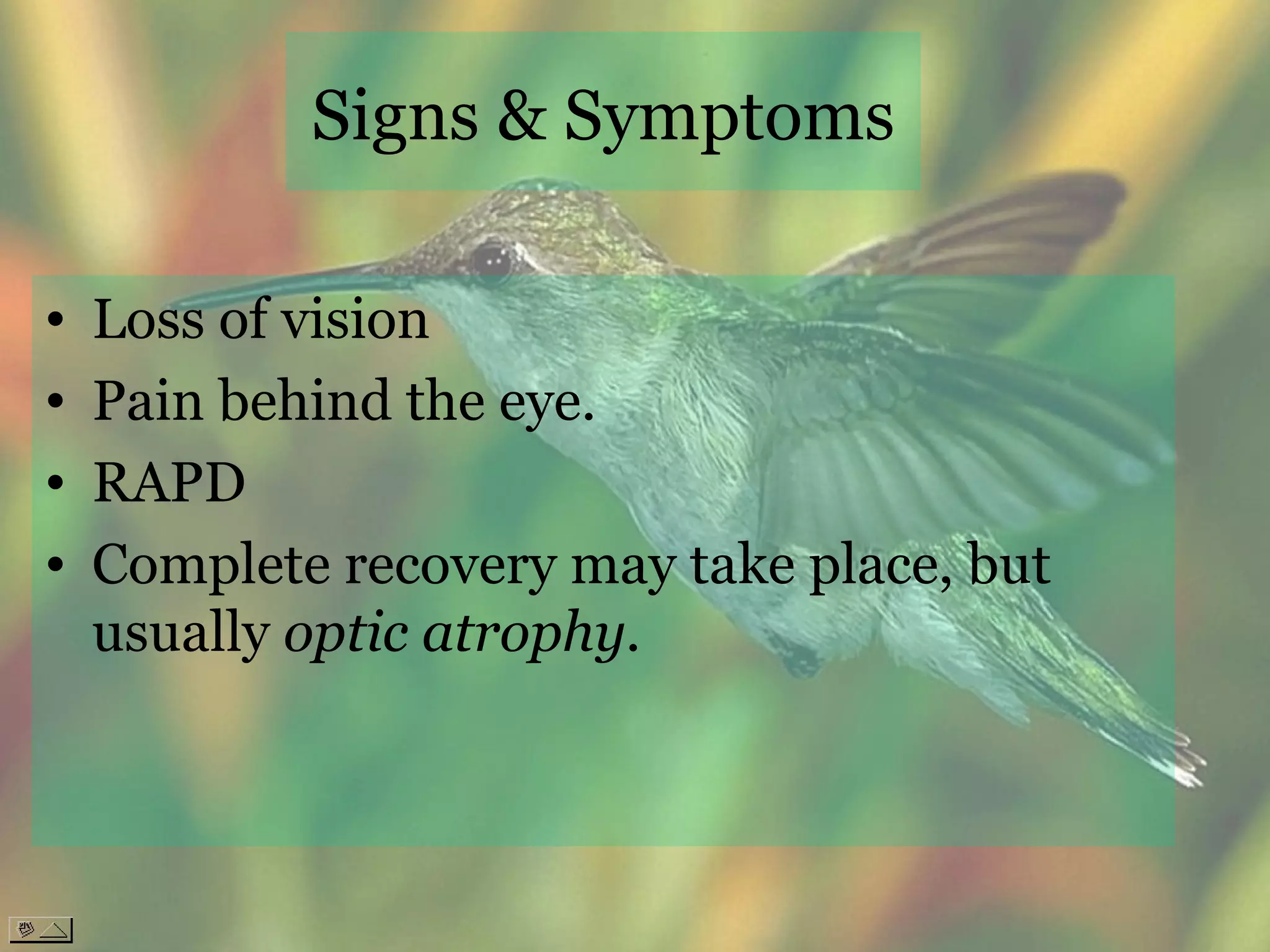 Optic nerve Diseases By: Sumayya Naseem Optometrist | PPS