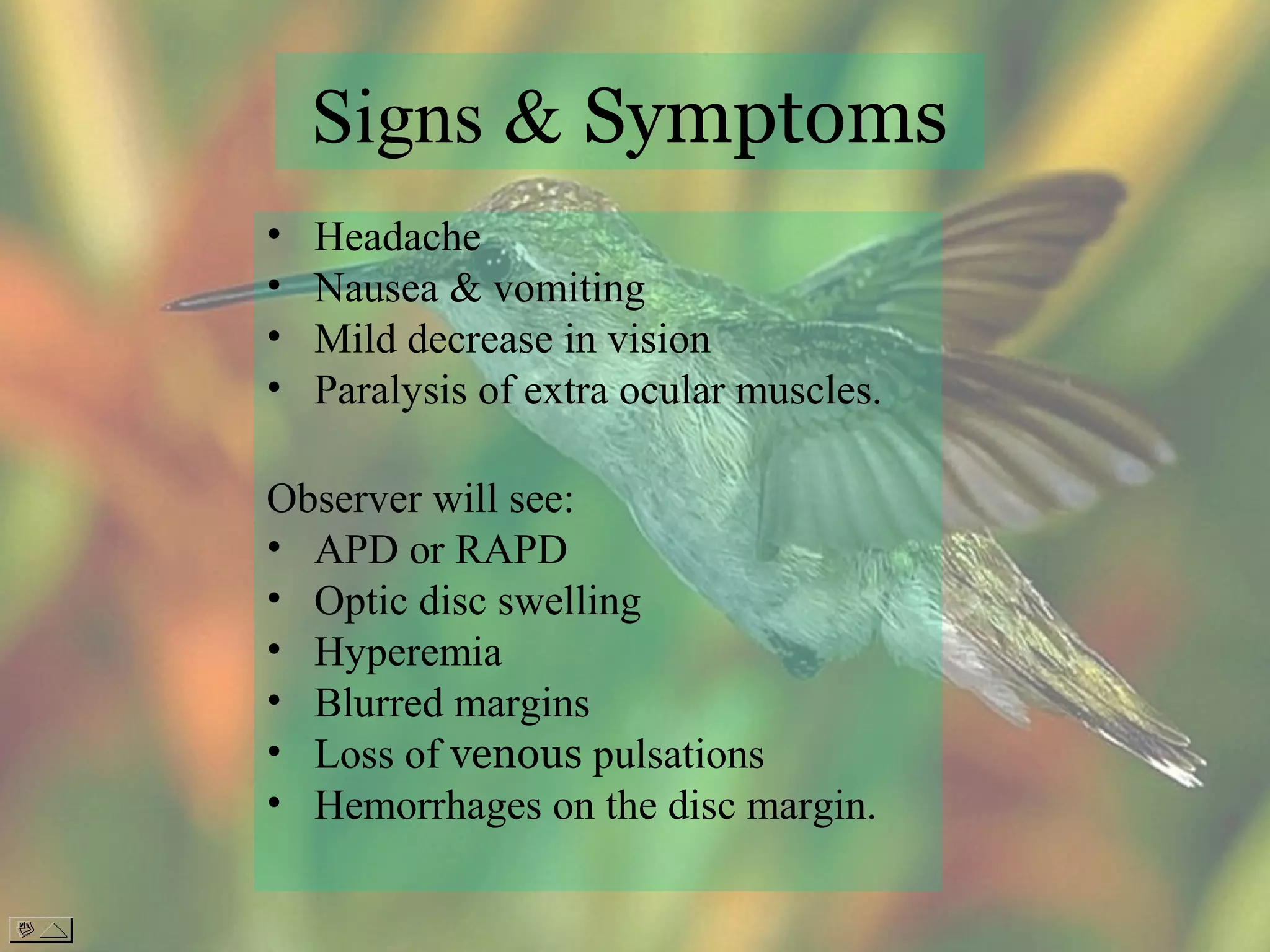 Optic nerve Diseases By: Sumayya Naseem Optometrist | PPS