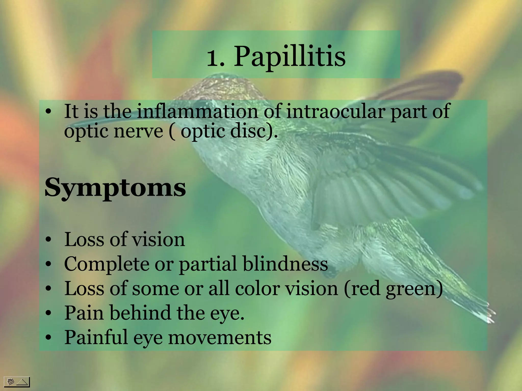 Optic nerve Diseases By: Sumayya Naseem Optometrist | PPS