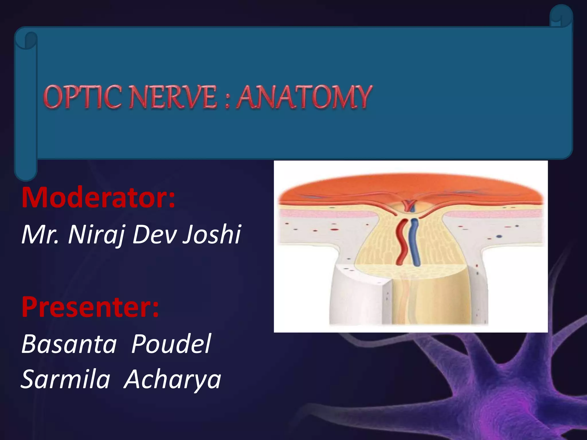Anatomy of Optic Nerve | PPTX