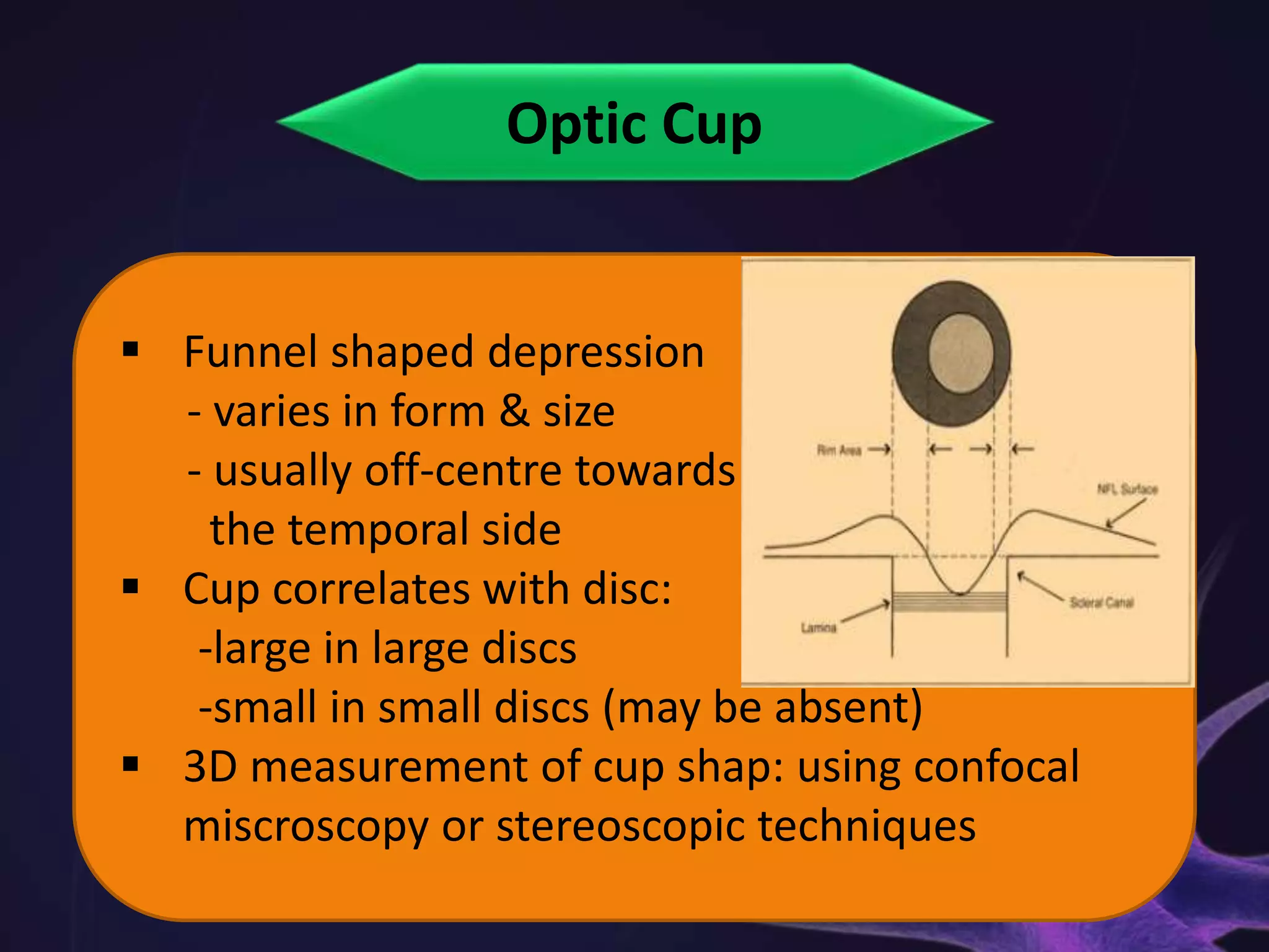 Anatomy of Optic Nerve | PPTX