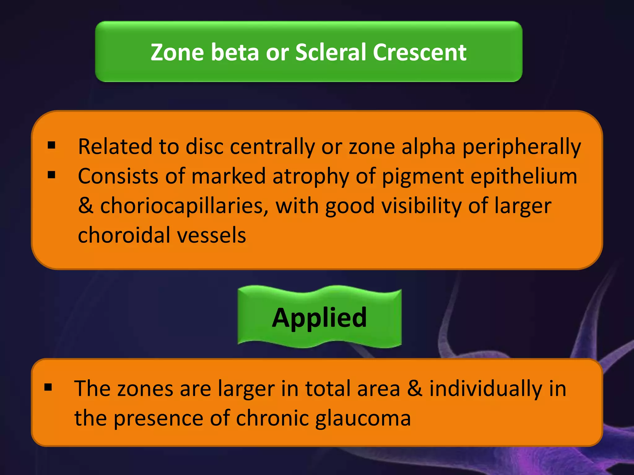 Anatomy of Optic Nerve | PPTX