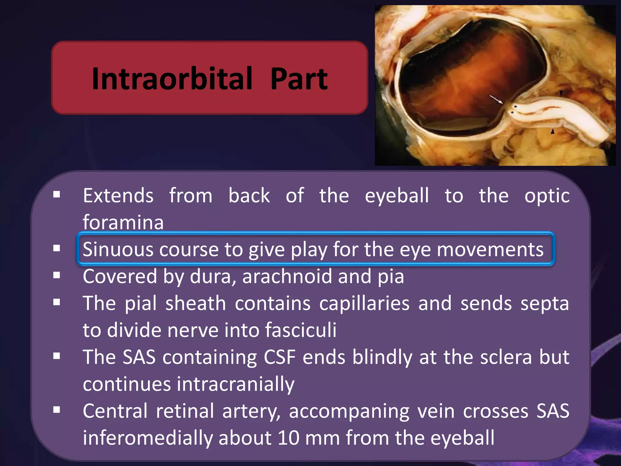 Anatomy of Optic Nerve | PPTX