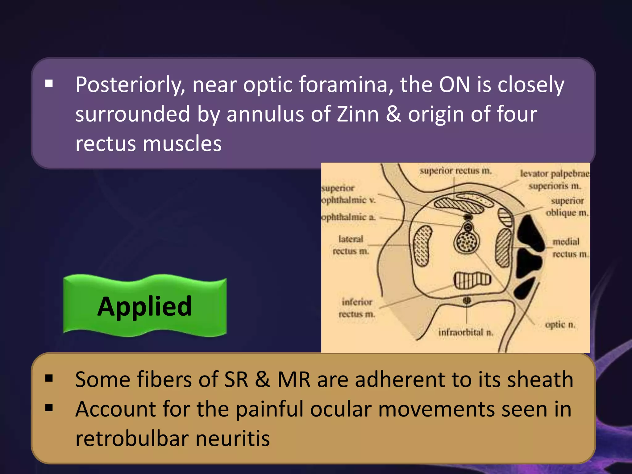 Anatomy of Optic Nerve | PPTX