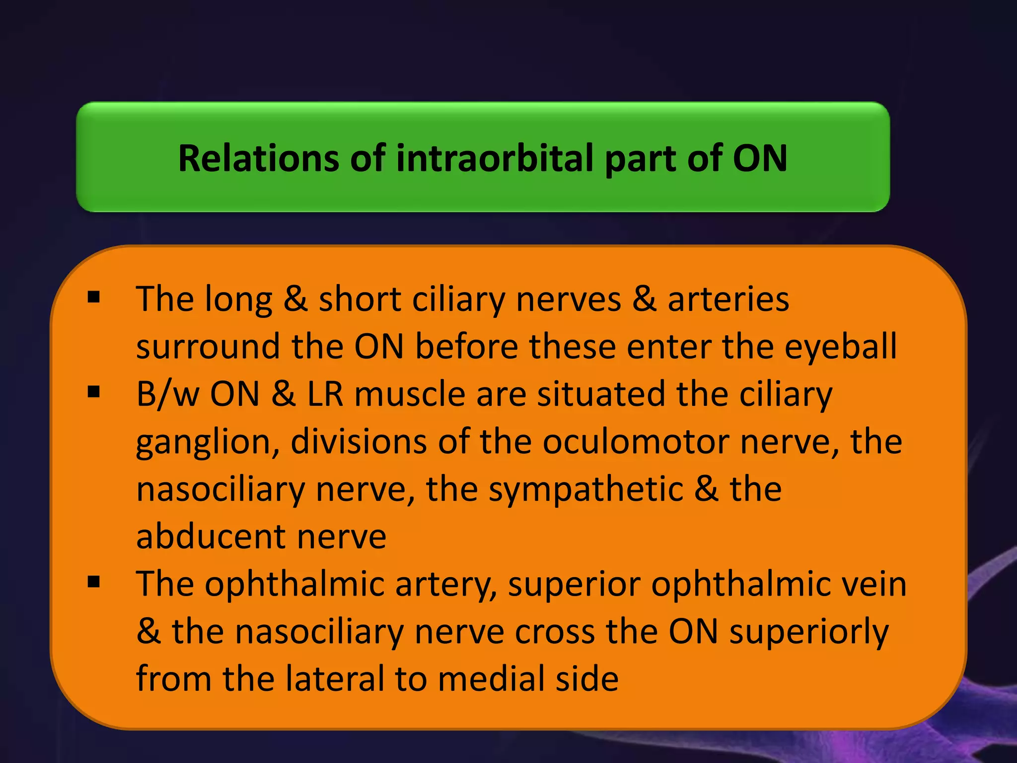 Anatomy of Optic Nerve | PPTX