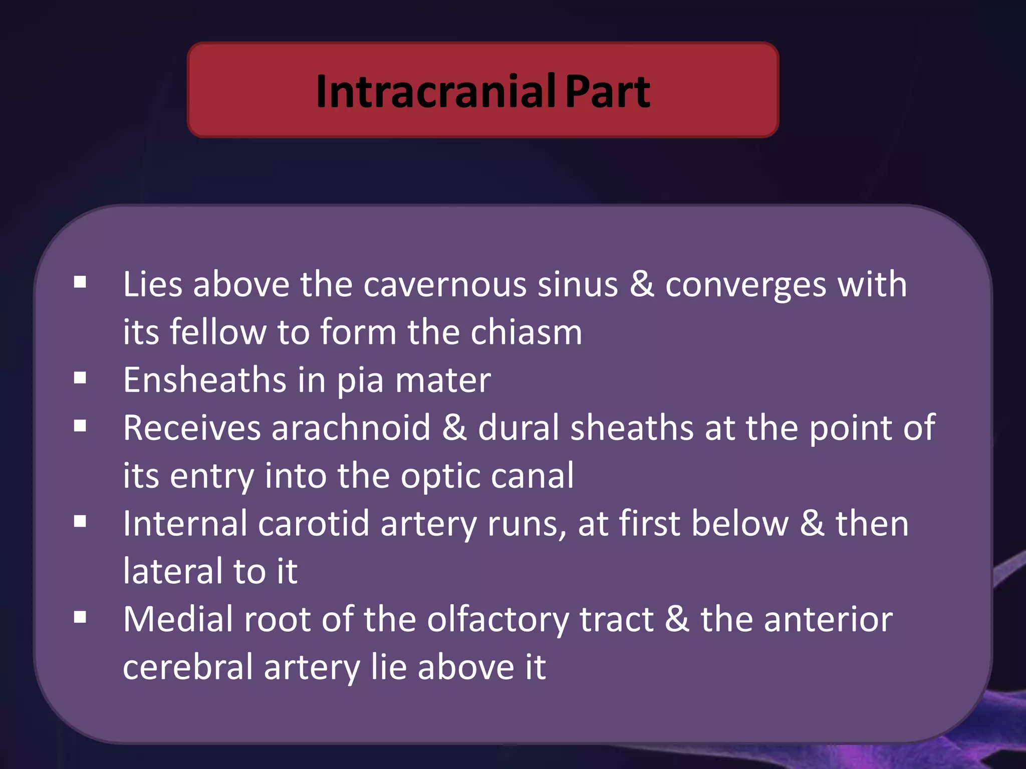 Anatomy of Optic Nerve | PPTX