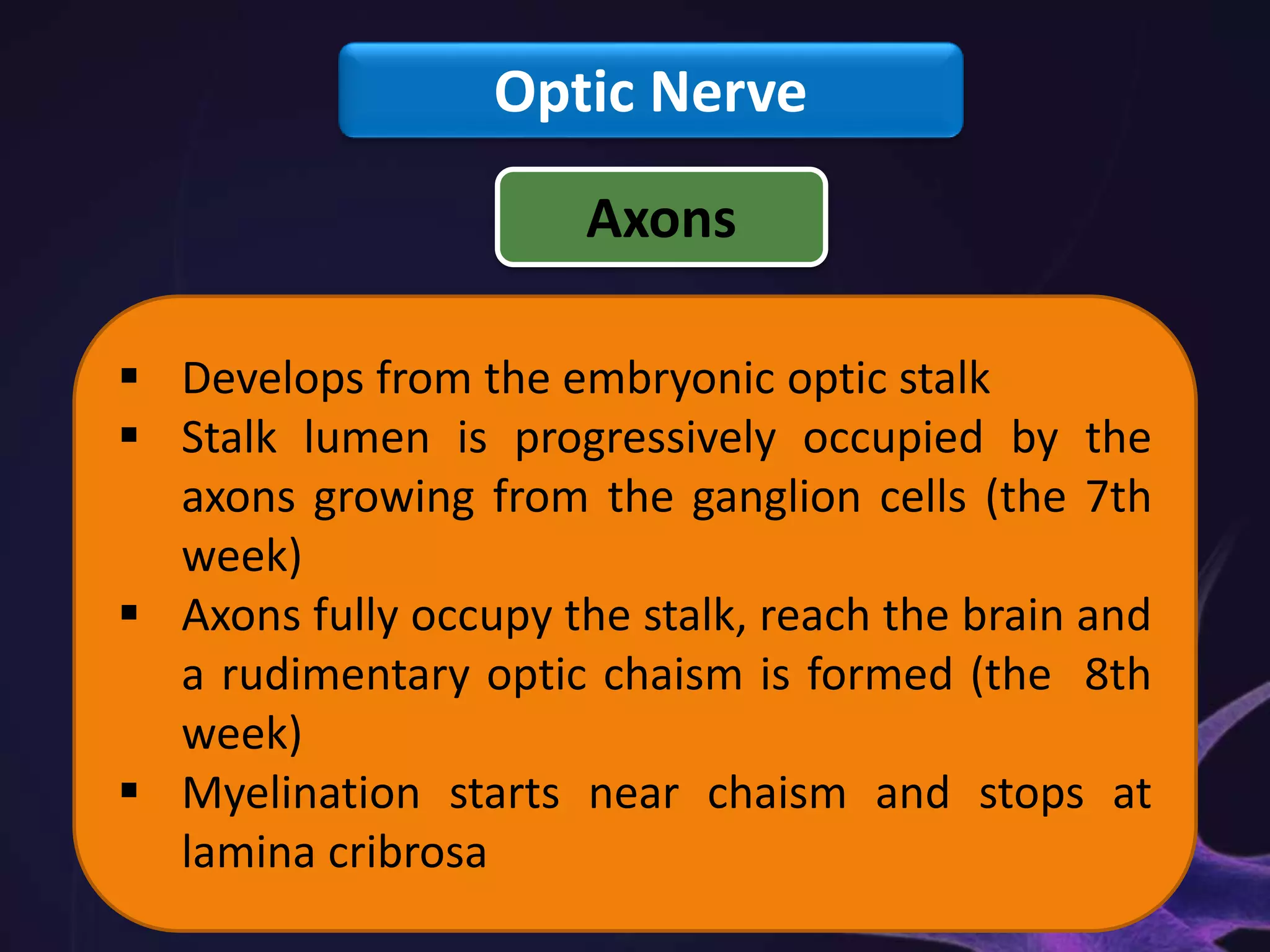 Anatomy of Optic Nerve | PPTX