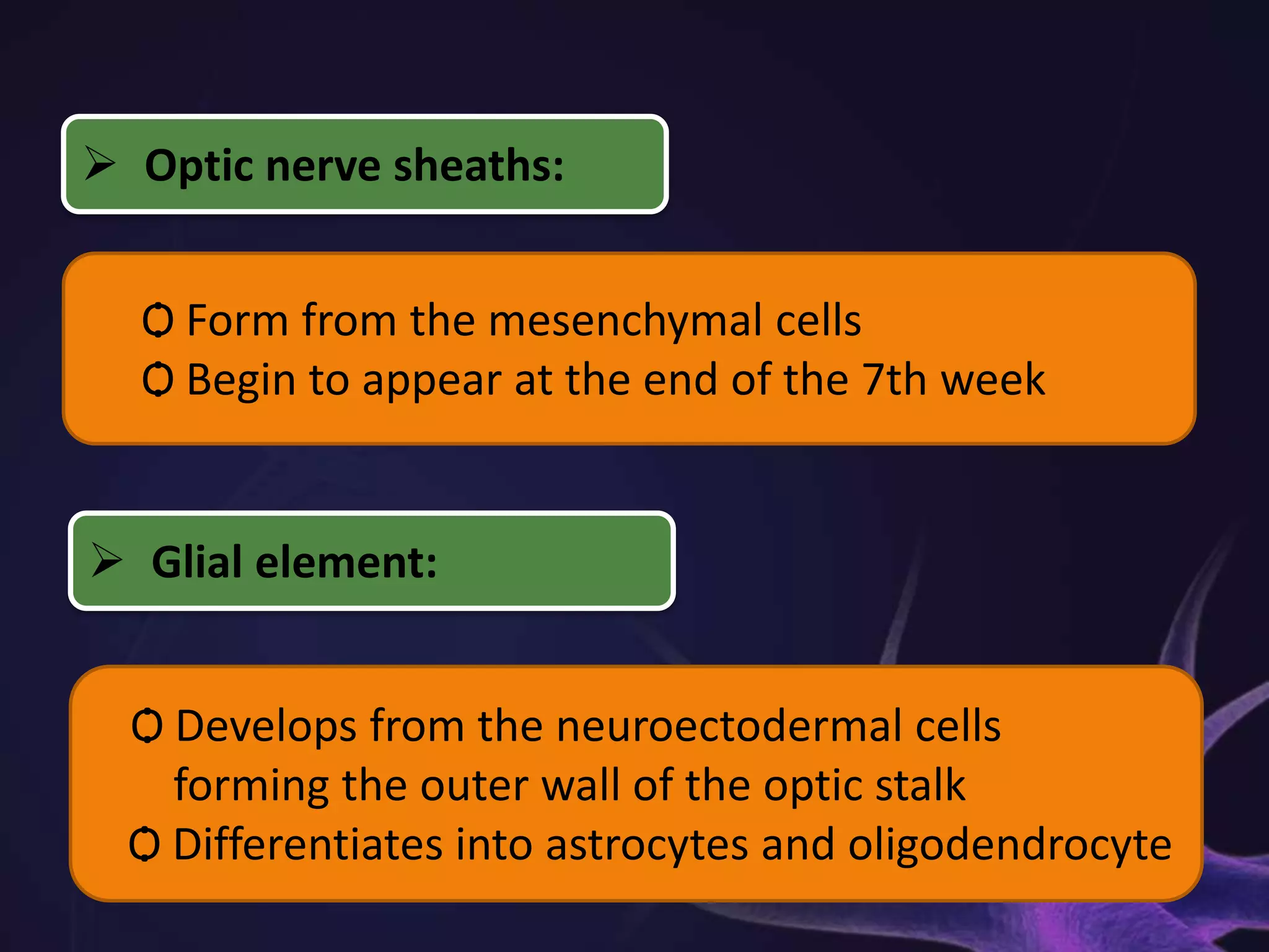 Anatomy of Optic Nerve | PPTX