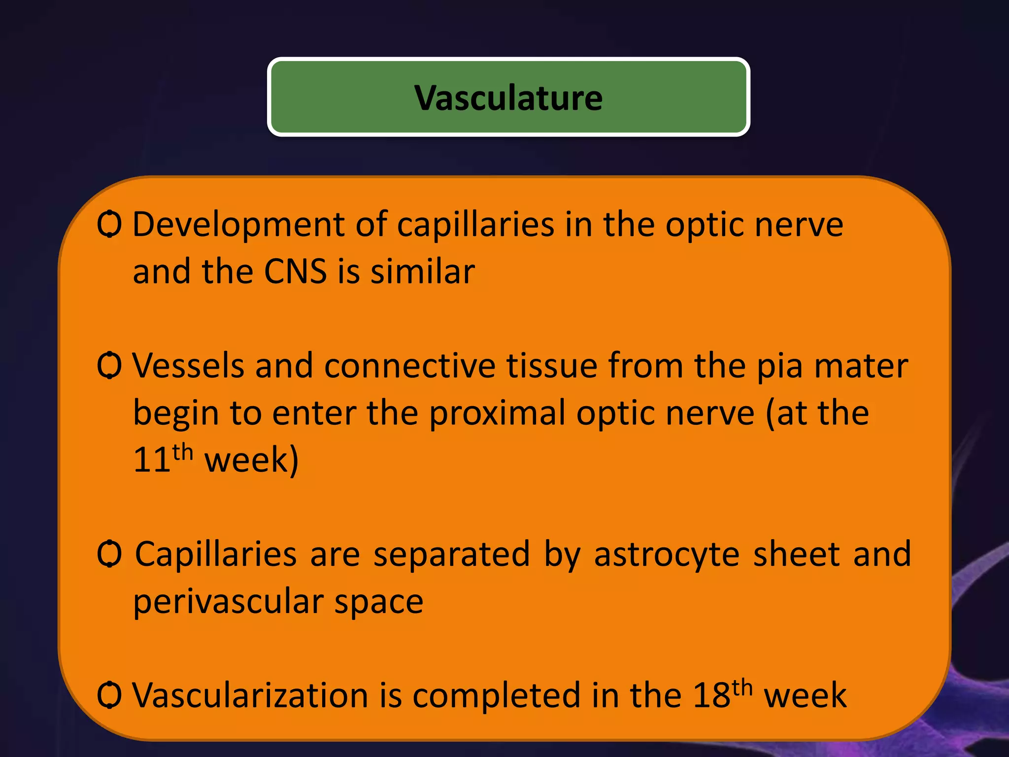Anatomy of Optic Nerve | PPTX