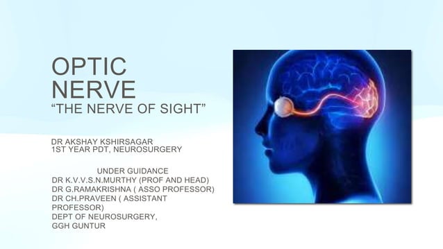 Optic nerve The nerve of sight ppt for Mch | PPT