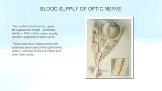 Optic nerve The nerve of sight ppt for Mch | PPT