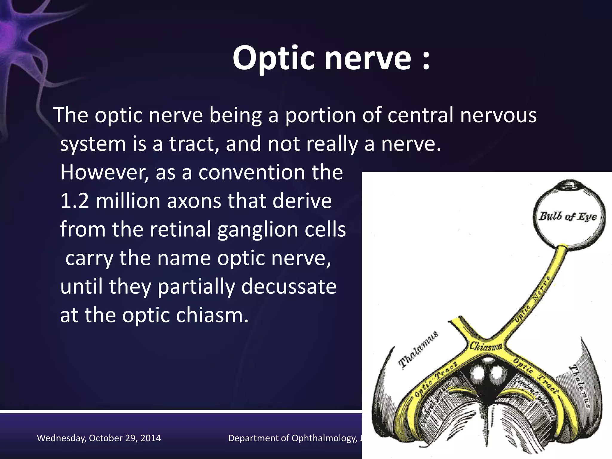 Optic nerve tumors ppt | PPTX