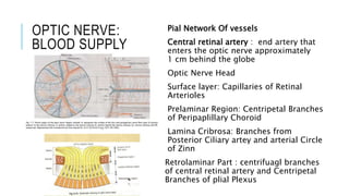 Optic neuritis | PPTX