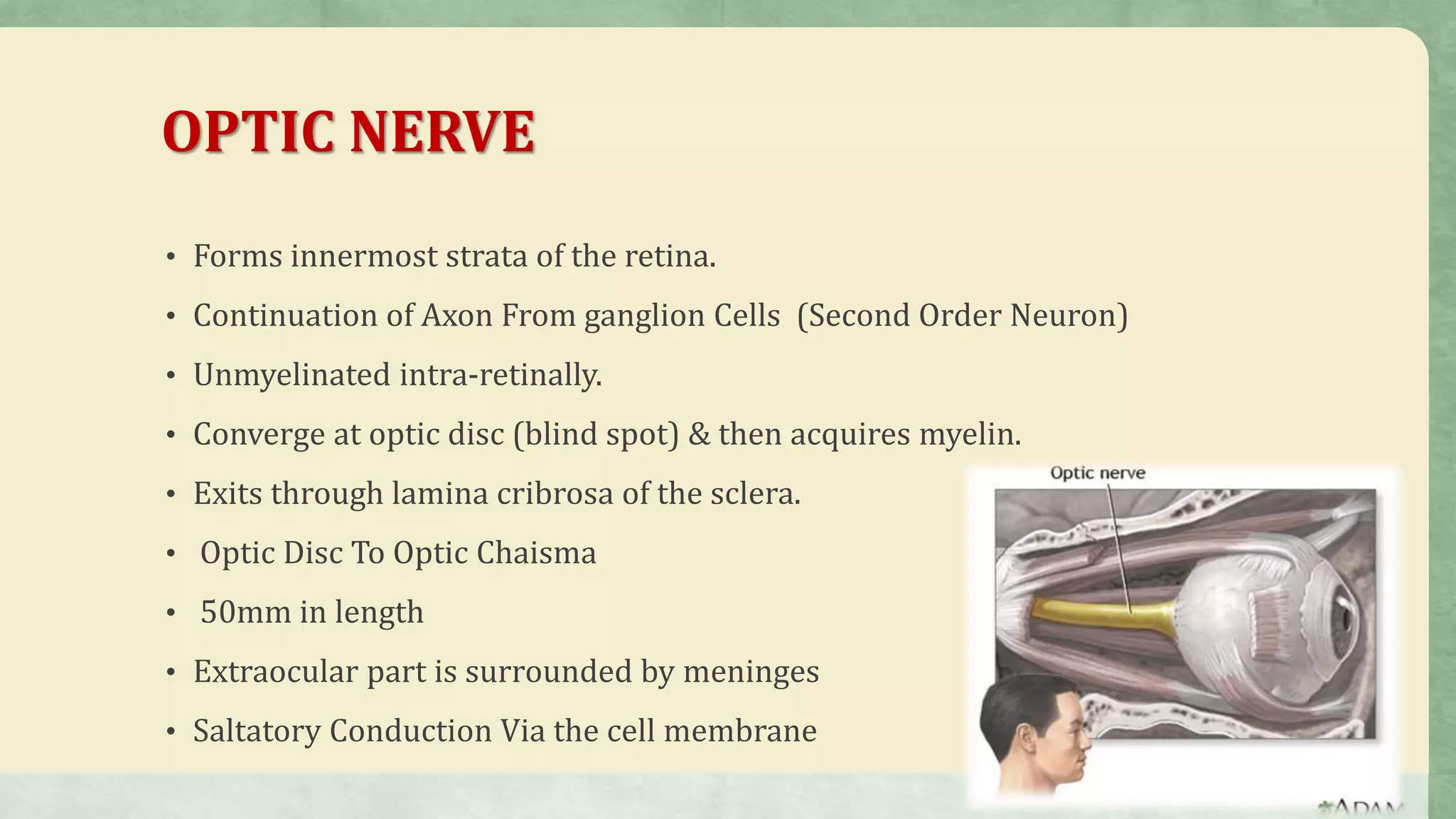 Optic neuritis | PPT