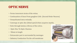 Optic neuritis | PPT