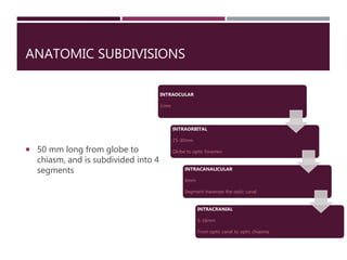 Optic neuritis | PPTX