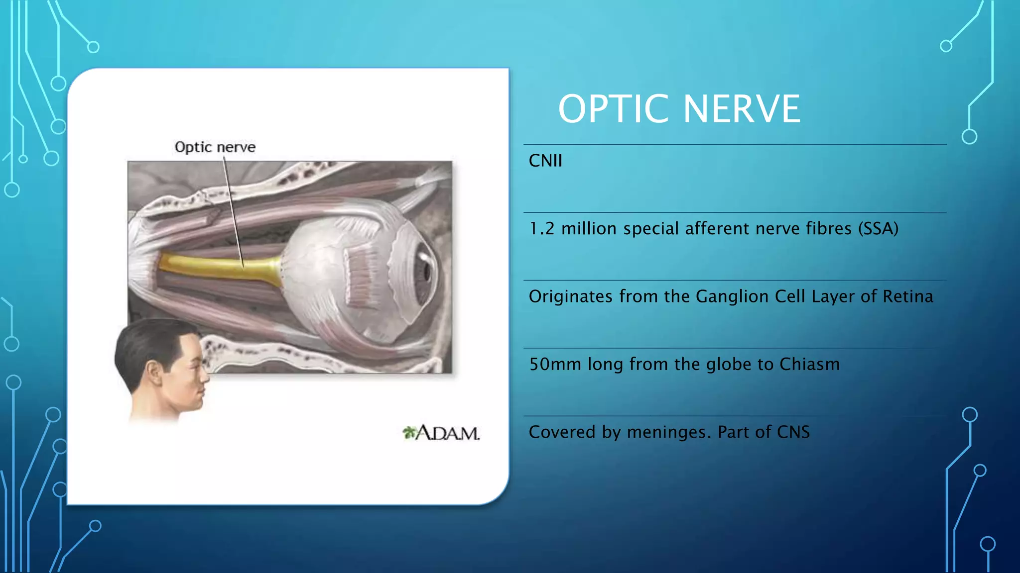 Optic Neuropathy (overview).pptx