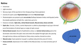 Optic pathway | PPTX