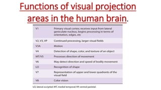 optic pathway and its lesions (2).pptx