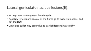 Optic pathway and lesions | PPTX