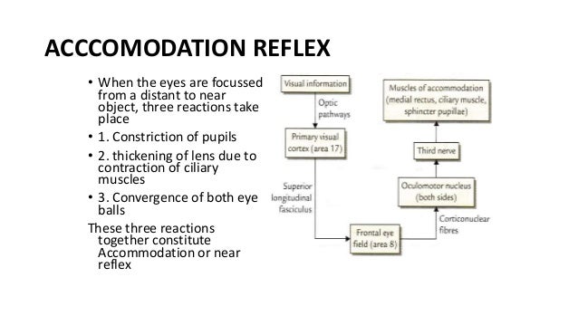 Optic pathway and lesions