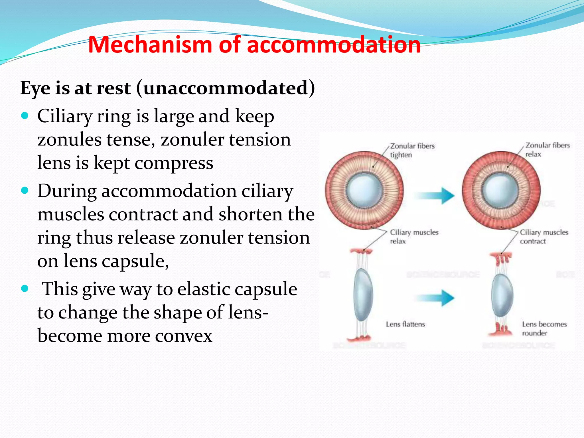 optic refraction 5.pptx