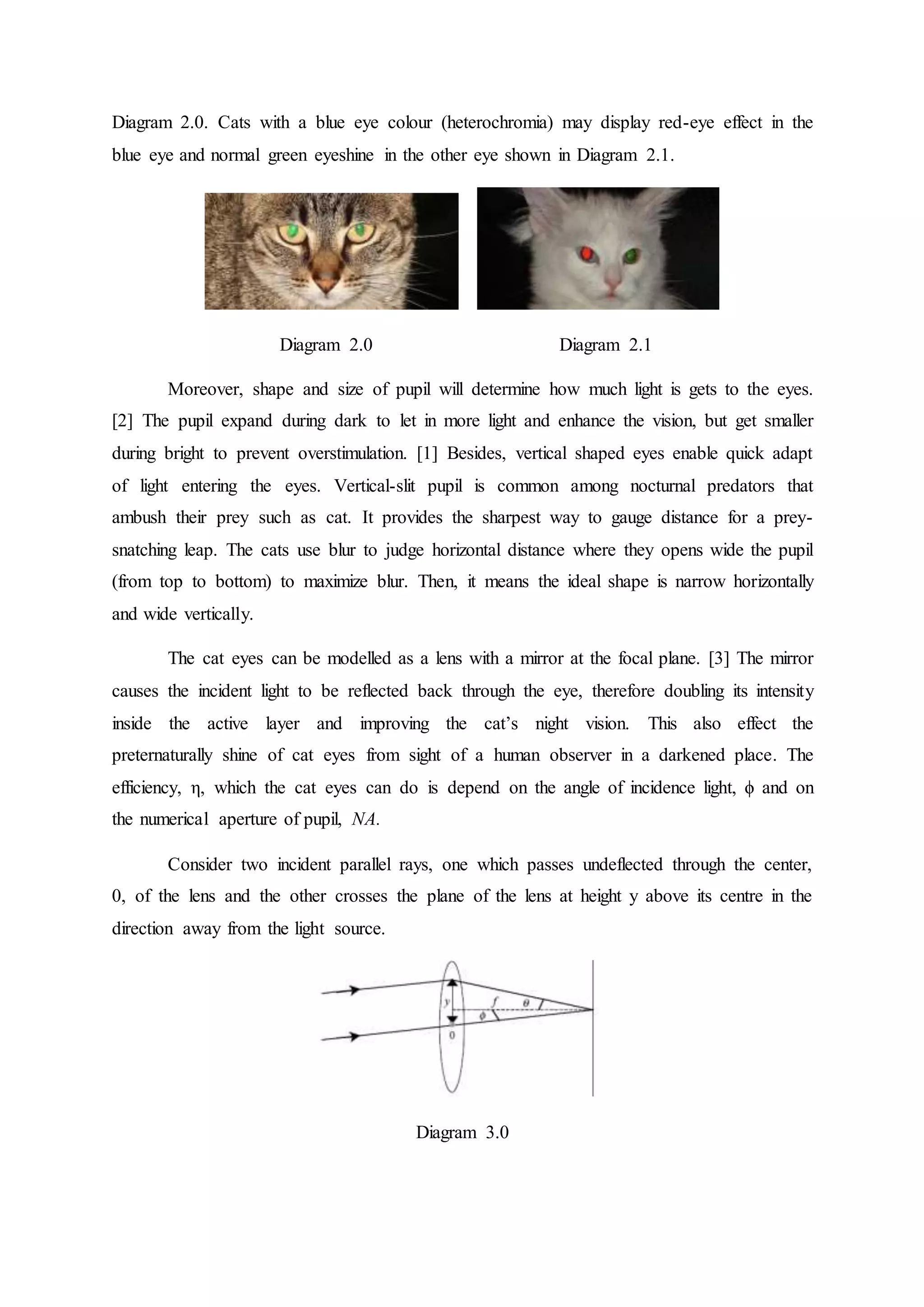 Optics of cat eyes | DOC | Eye and Vision Conditions | Diseases and ...