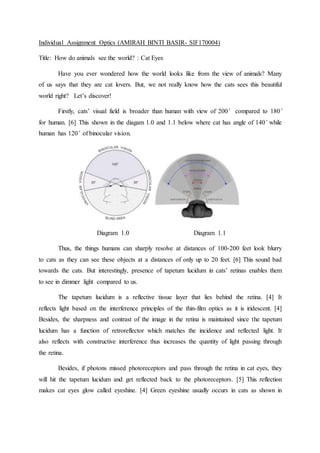 Optics of cat eyes | DOC | Eye and Vision Conditions | Diseases and ...