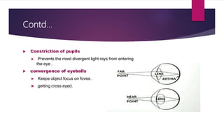 Optics of eye | PPTX