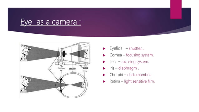Optics of eye | PPTX
