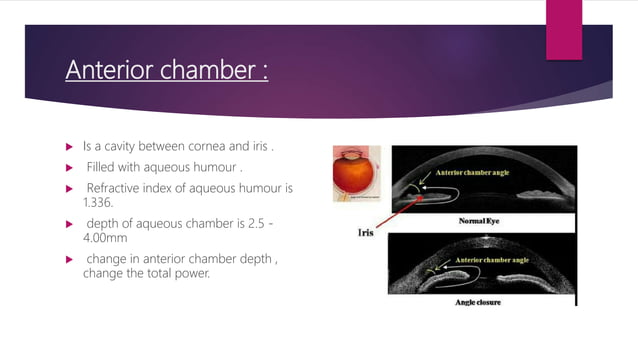 Optics of eye | PPTX