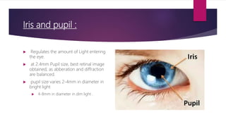 Optics of eye | PPTX
