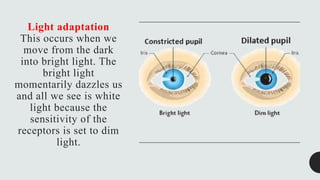 OPTICS OF HUMAN EYE part two.pptx