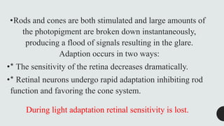 OPTICS OF HUMAN EYE part two.pptx