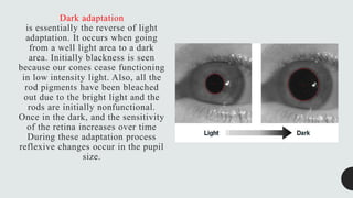 OPTICS OF HUMAN EYE part two.pptx